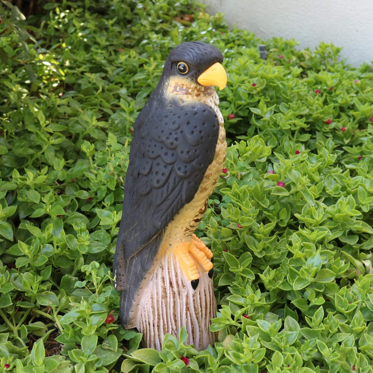 Dead Crow Decoy | The Garden and Patio Home Guide